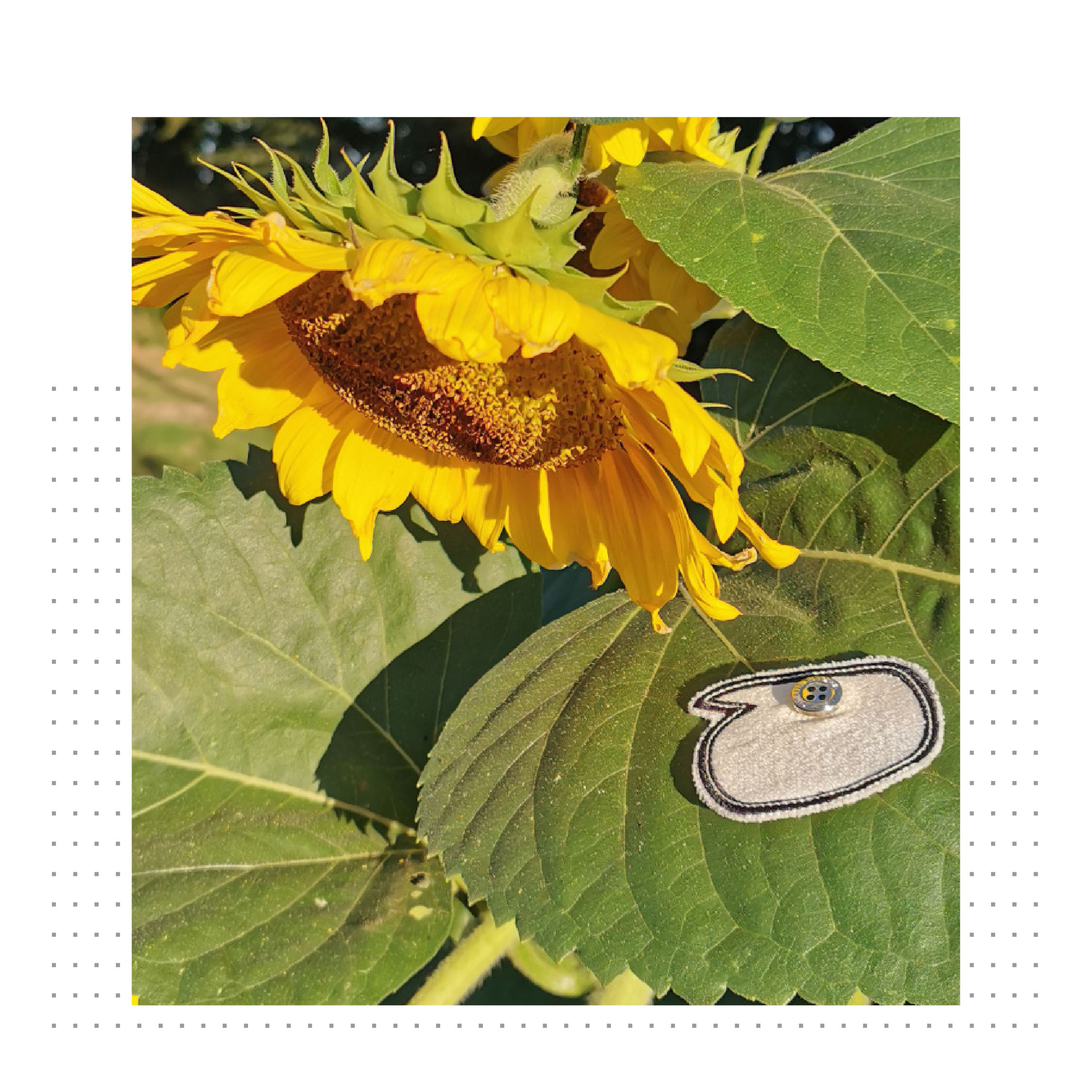 About - AWA - Annette Weisser - Annette Weisser